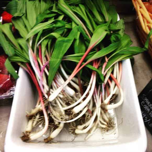 Spring Ramps - Tiny New York Kitchen